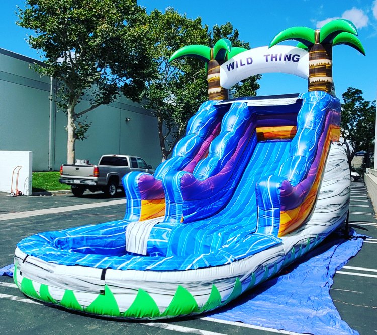 Best Water Slide Jumpers For Rent | Kids Party So Cal